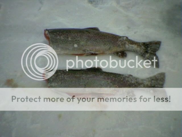 Official Ice Fishing picture thread - Page 3